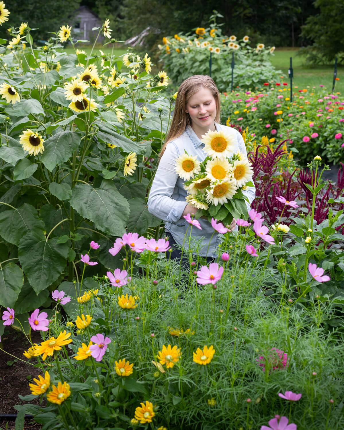 Visit the U-Pick Flower Farm | Frogmore Flower Farm | Brooks, Maine